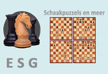 Schaakproblemen # 12; de zetten… | Emmer Schaak Genootschap